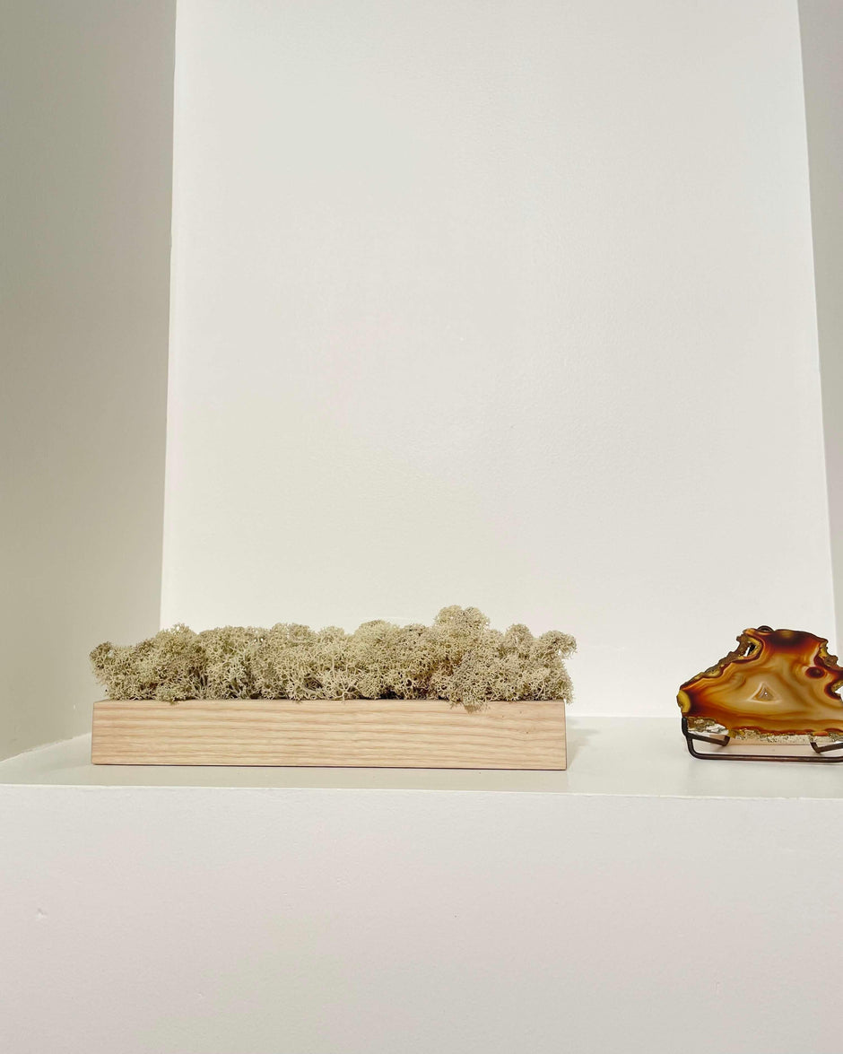 Produits – Lichen & CO